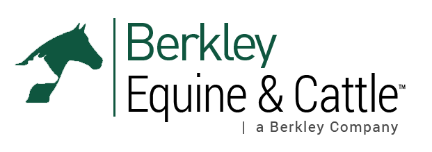 Philip Baker Insurance - Equine Insurance